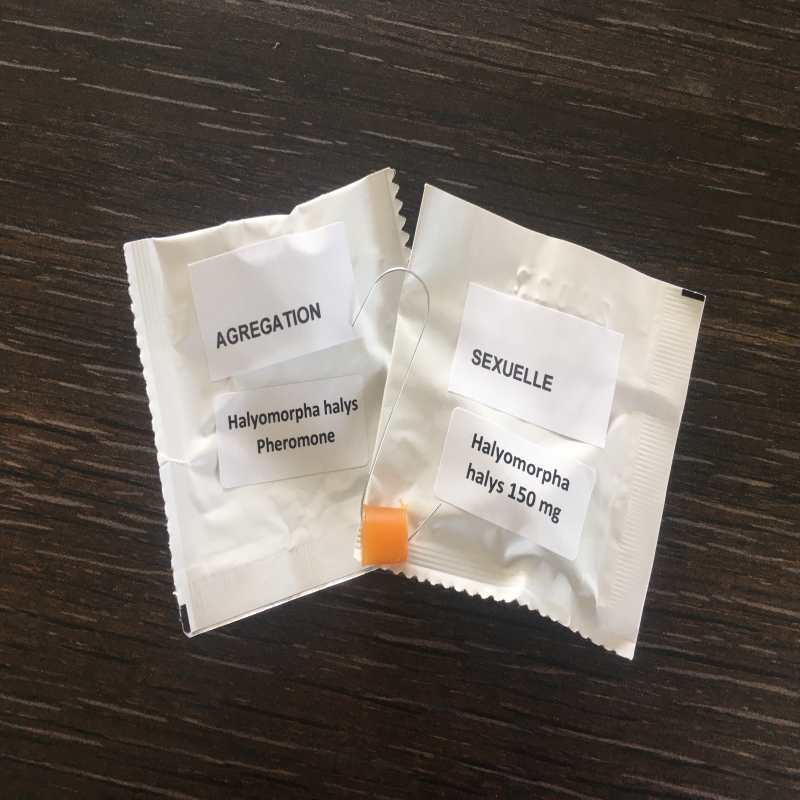 2 Pheromone Trap Refill Pack Diablex® (150mg) - Progarein France